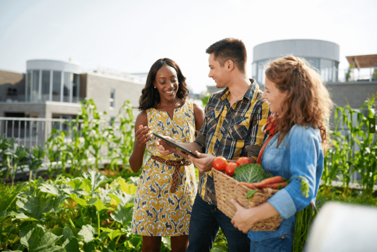 Innova Market Insights - Your Insights Partner for Growth